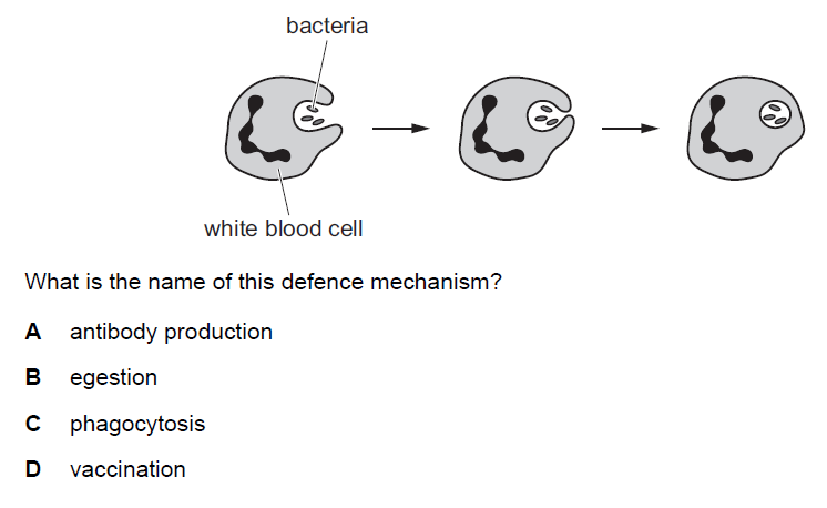 iGCSE Biology (0610)-10.1 Diseases and immunity - iGCSE Style Questions ...