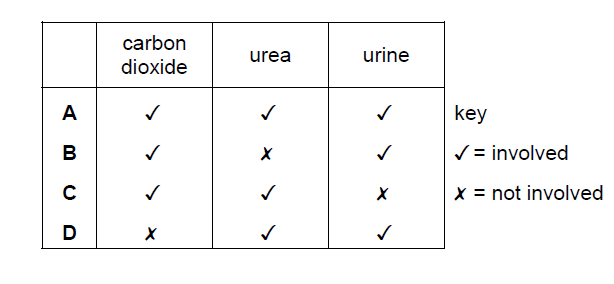 iGCSE Biology (0610)-13.1 Excretion in humans - iGCSE Style Questions ...