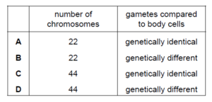 iGCSE Biology (0610)-17.1 Chromosomes, genes and proteins - iGCSE Style ...