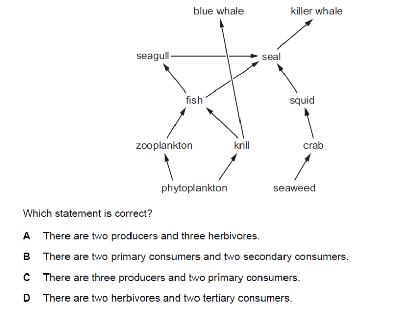 iGCSE Biology (0610)-19.2 Food chains and food webs - iGCSE Style ...