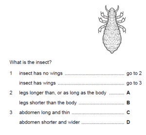 iGCSE Biology (0610) 1.2 Concept and uses of classification systems ...