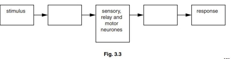 iGCSE Biology (0610)-14.1 Coordination and response - iGCSE Style ...
