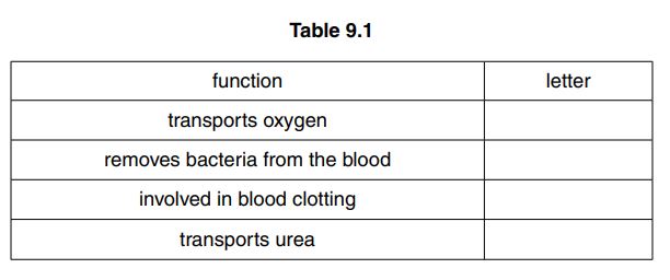 iGCSE Biology (0610)-9.4 Blood - iGCSE Style Questions Paper 4