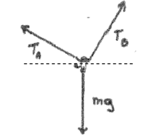 AP Physics 1: Unit 2: Dynamics- Exam Style questions with Answer- FRQ