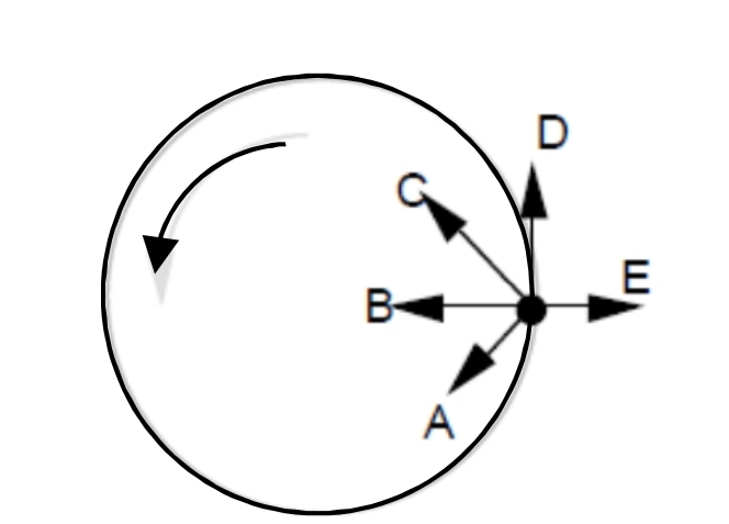 AP Physics 1: Unit 3: Circular Motion- Exam Style questions with Answer ...