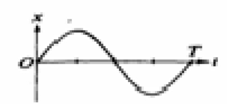 AP Physics 1: Unit 6: Simple Harmonic Motion - Exam Style questions ...