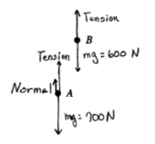 AP Physics 1: Unit 2: Dynamics- Exam Style questions with Answer- FRQ