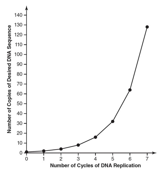 AP Biology 6.2 DNA Replication- Exam Style questions - FRQ