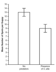 AP Biology : 7.1 Introduction to Natural Selection- Exam Style ...