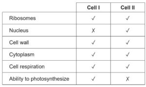 Mock Exam IB DP Biology HL Paper 1 Set 1