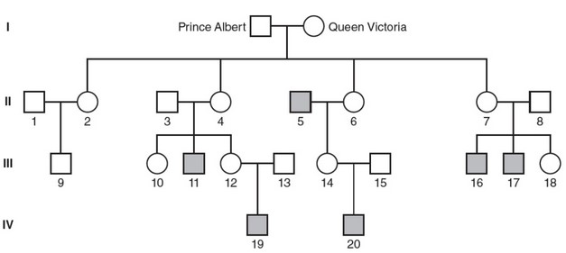 AP Biology :5.4 Non-Mendelian Genetics - Exam Style questions with ...