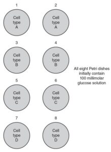 AP Biology :4.2 Introduction to Signal Transduction - Exam Style ...