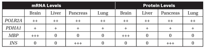 AP Biology : 6.4 Translation - Exam Style questions with Answer- FRQ