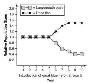 IB DP Biology D4.2 Stability and change- IB Exam Style questions with ...