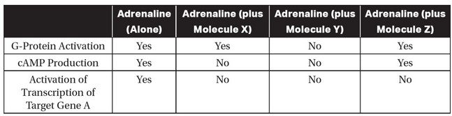 AP Biology : 4.3 Signal Transduction - Exam Style questions with Answer ...