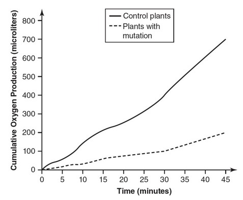 AP Biology : 3.5 Photosynthesis- Exam Style questions with Answer- FRQ