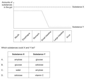 Mock Exam IB DP Biology SL Paper 1 Set 8