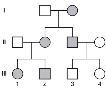 AP Biology : 5.4 Non-Mendelian Genetics - Exam Style questions with ...