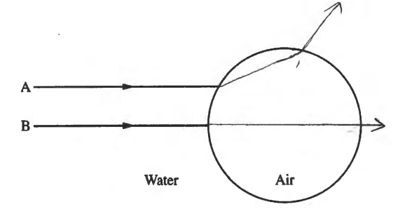 Fluids and Conservation Laws AP Physics 1 FRQ | AP Physics 1 2025