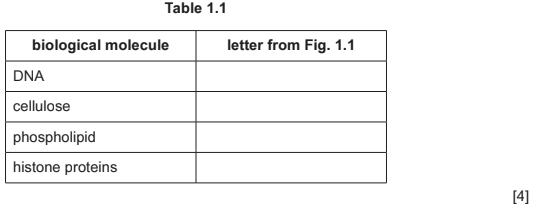 A level Biology 1.1 The microscope in cells study - Exam style question ...