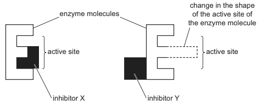 A level Biology 3.1 Mode of action of enzymes - Exam style question ...