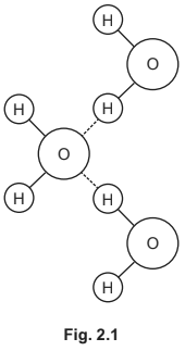 A level Biology 2.3 Proteins - Exam style question - Paper 2