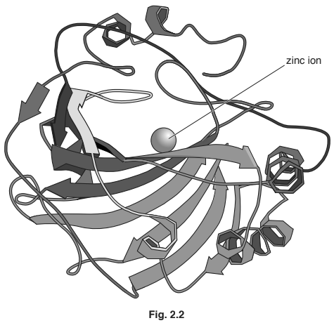 A level Biology 3.1 Mode of action of enzymes - Exam style question ...