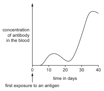 A level Biology 11.2 Antibodies and vaccination - Exam style question ...