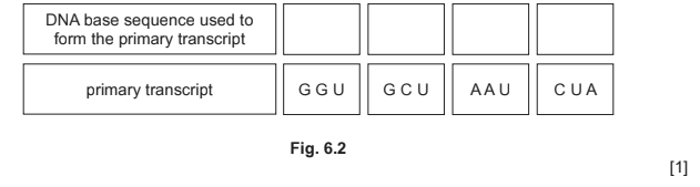 A level Biology 6.1 Structure of nucleic acids and replication of DNA ...