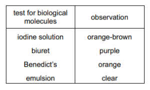 A level Biology 2.1 Testing for biological molecules - Exam style ...
