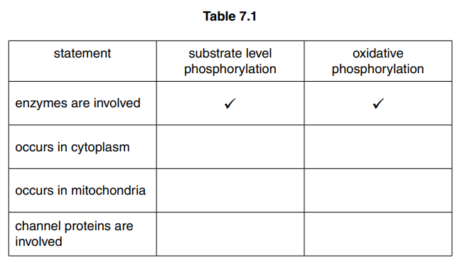 A level Biology 12.2 Respiration - Exam style question - Paper 4