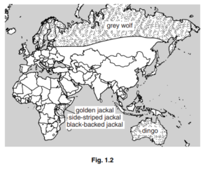 A level Biology 18.1 Classification - Exam style question - Paper 4