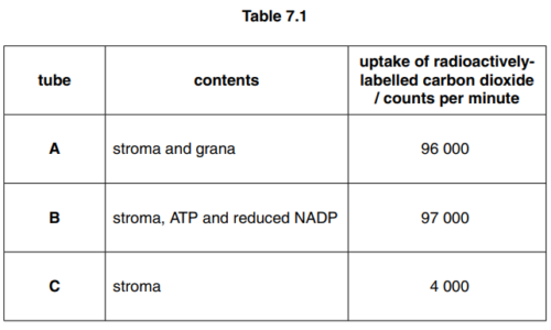 A level Biology 13.1 Photosynthesis as an energy transfer process ...