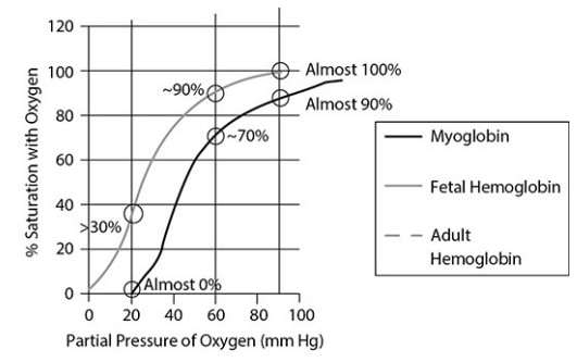 AP Biology : 3.3 Environmental Impacts on Enzyme Function - Exam Style ...