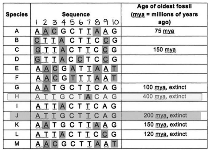 AP Biology : 7.9 Phylogeny - Exam Style questions with Answer- FRQ