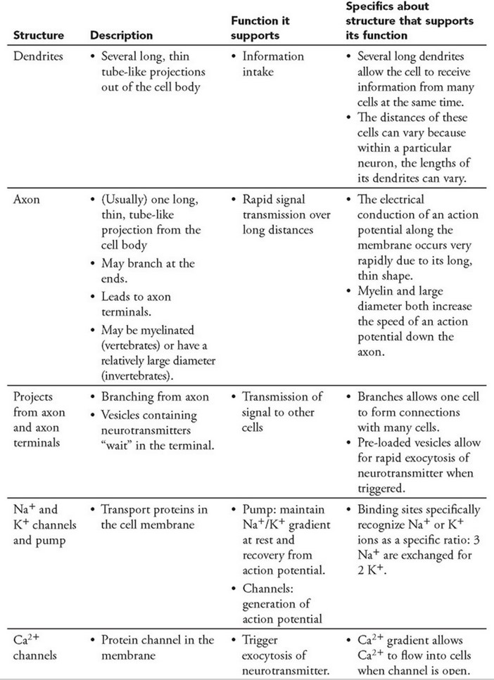 AP Biology :7.13 Origin of Life on Earth - Exam Style questions with ...