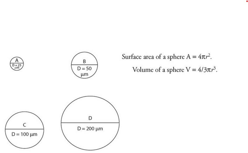 AP Biology : 2.3 Cell Size - Exam Style questions with Answer- MCQ