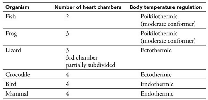 AP Biology : 7.9 Phylogeny - Exam Style questions with Answer- FRQ