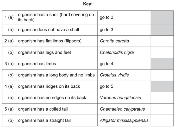 Igcse Biology 0610 1 2 Concept And Uses Of Classification Systems Igcse Style Questions Paper