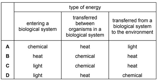 iGCSE Biology (0610)-19.1 Energy flow - iGCSE Style Questions Paper 2