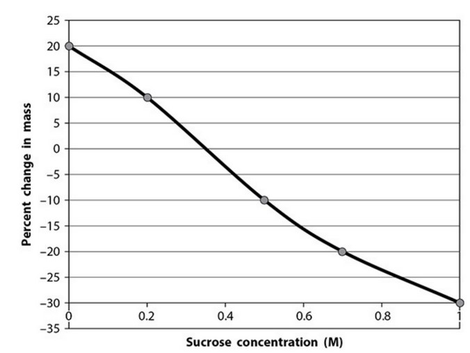 AP Biology : 2.8 Tonicity and Osmoregulation- Exam Style questions with ...