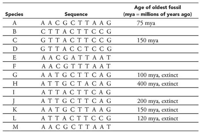 AP Biology : 7.9 Phylogeny - Exam Style questions with Answer- FRQ