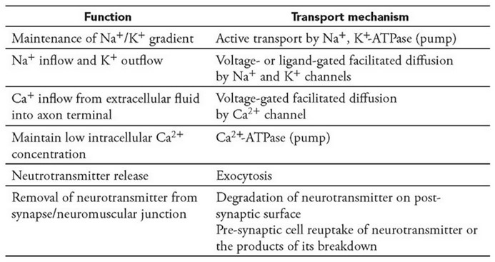 AP Biology : 4.2 Introduction to Signal Transduction - Exam Style ...