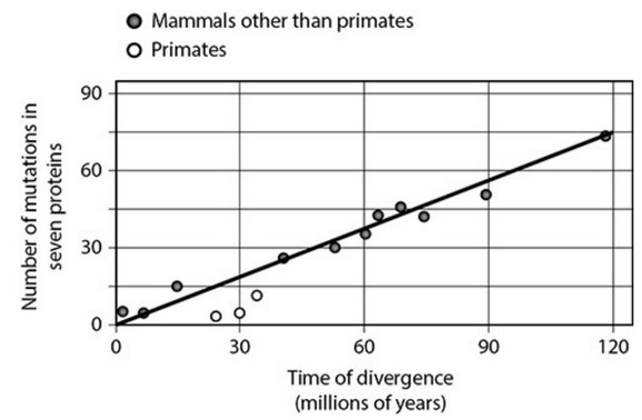 AP Biology : 7.7 Common Ancestry - Exam Style questions with Answer- MCQ
