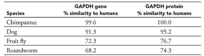 AP Biology : 7.6 Evidence of Evolution- Exam Style questions with ...