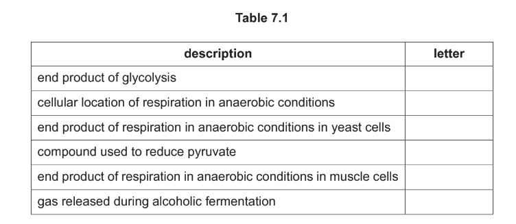 A level Biology 12.2 Respiration - Exam style question - Paper 4