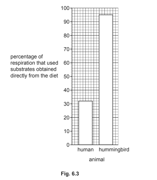 A level Biology 12.2 Respiration - Exam style question - Paper 4