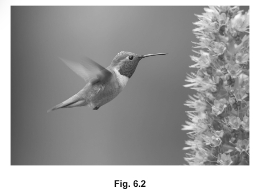 A level Biology 12.2 Respiration - Exam style question - Paper 4