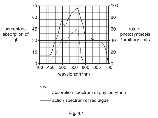 A level Biology 13.2 Investigation of limiting factors - Exam style ...