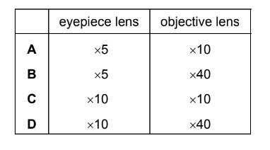 A level Biology 1.1 The microscope in cells study - Exam style question ...